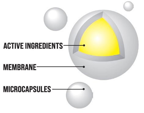 Effect Microtech CS PRO - Microencapsulated Insecticide against ...